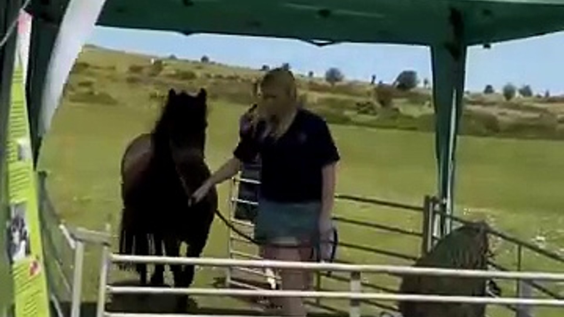 James Wright explains Natural England's potential threat to Exmoor ponies