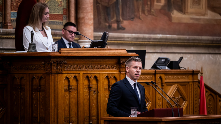 Magyar Péter a parlamentben: Ma több gyermekvédelmi vezetőt menesztett ...