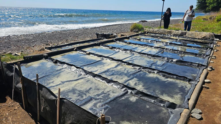 Menjaga asa warisan garam palungan Desa Les di pesisir utara Pulau Dewata