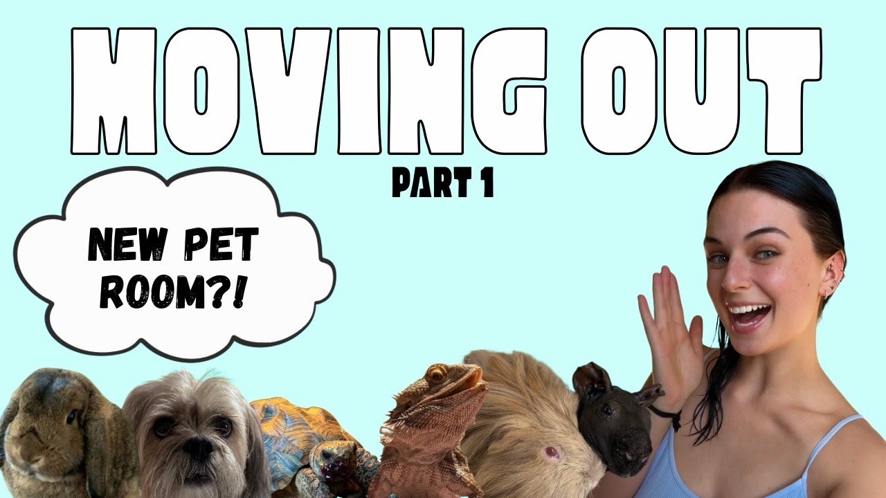Starting the move: Packing and organizing my space