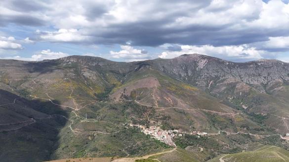 Naturgy crea un nuevo bosque para devolver la vida a un territorio ...