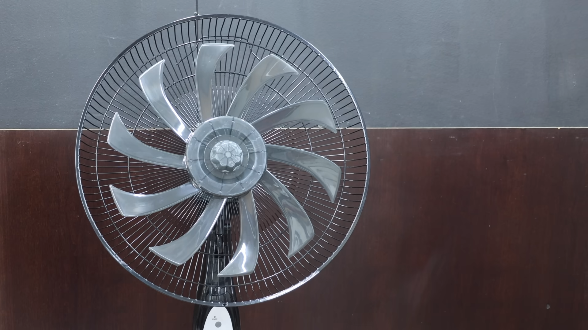 Best fan? Let’s find out!