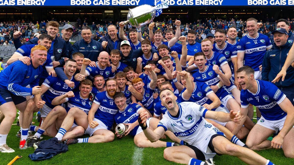 'It was just pure heart, pure desire' - Ravenous Laois back at hurling ...