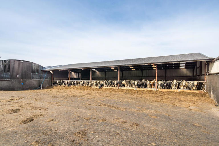 Pictures: 159-acre Co Down farm with extensive agricultural buildings ...