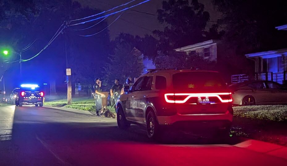 Juvenile driving stolen Kia arrested after running from traffic stop ...