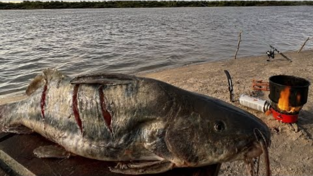 Pesca de bagre enorme y caminata por la naturaleza