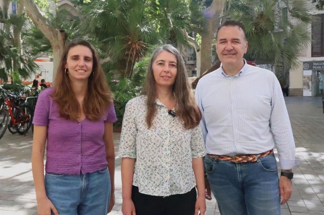La izquierda pide a Cort que aplique medidas para adaptar la ciudad al ...