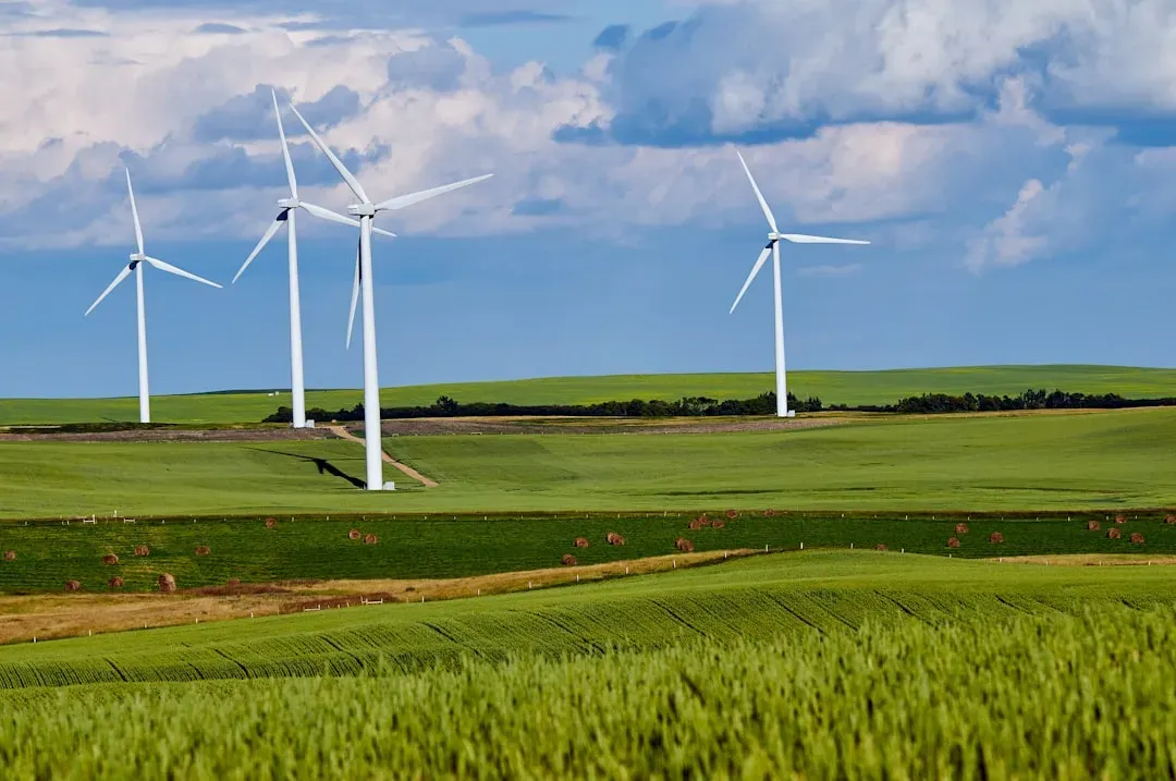 The hidden downside of wind farms: Why they may not be the clean fix we ...