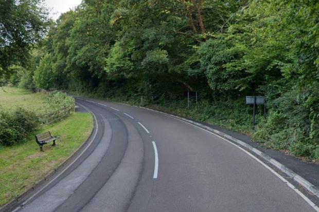 Main road between Shanklin and Ventnor closed due to dangerous tree