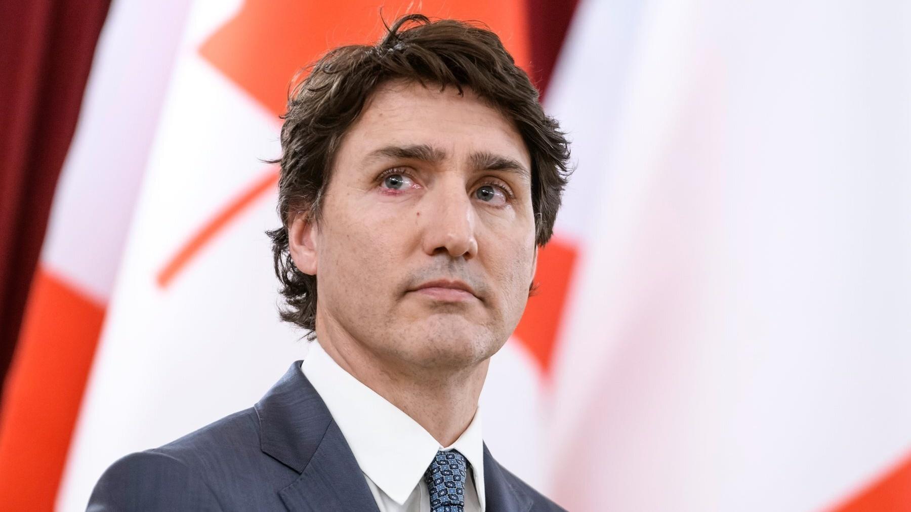 Thousands of trees promised under Trudeau program end up as wood chips