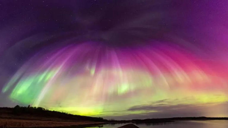 Why do auroras only occur at the Earth's north and south poles?