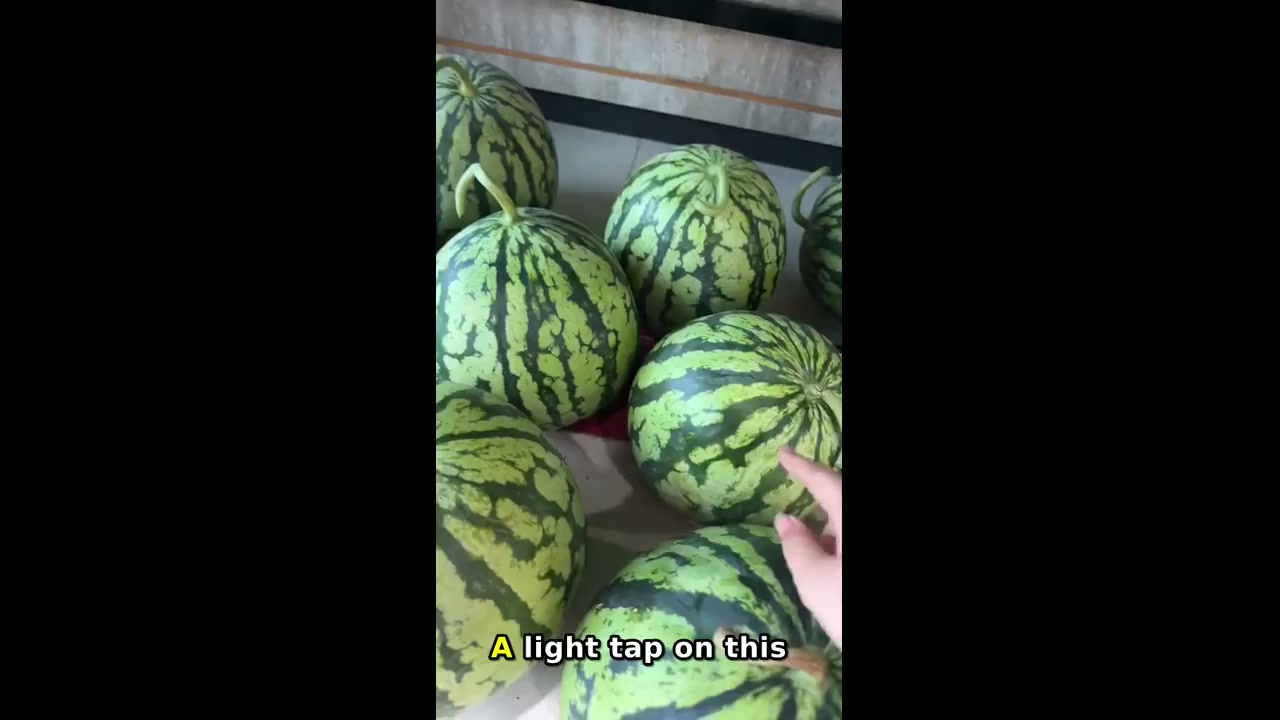 Watermelon cracks open with a light tap!