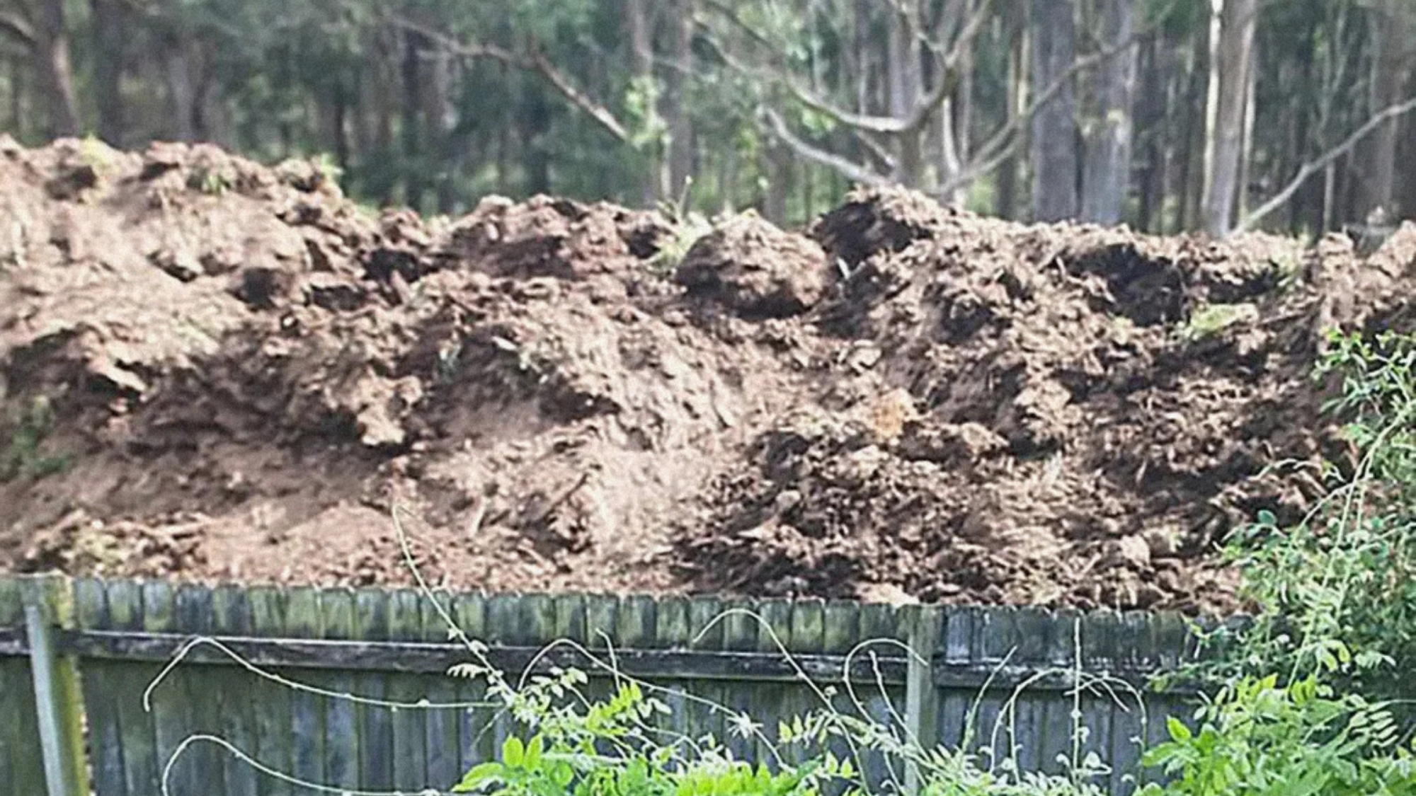 Woman claims neighbors built 10-foot 'poop walls' around her home, and ...