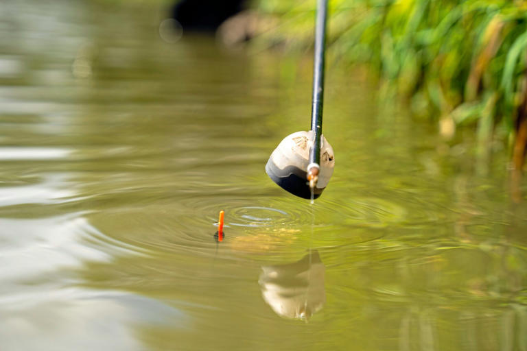 You need to try mussels to catch more fish
