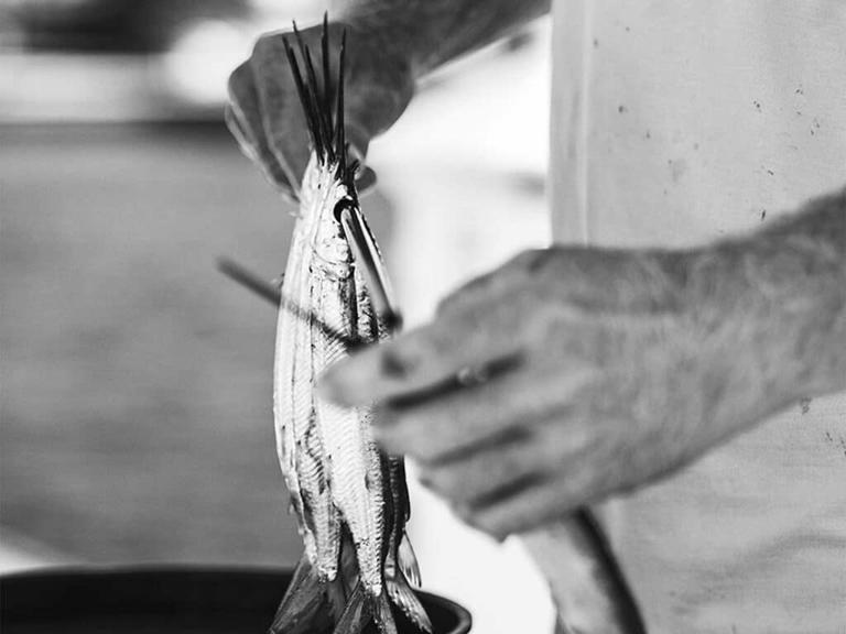 Billfish tournament bait prep: Secrets from top captains and winning crews