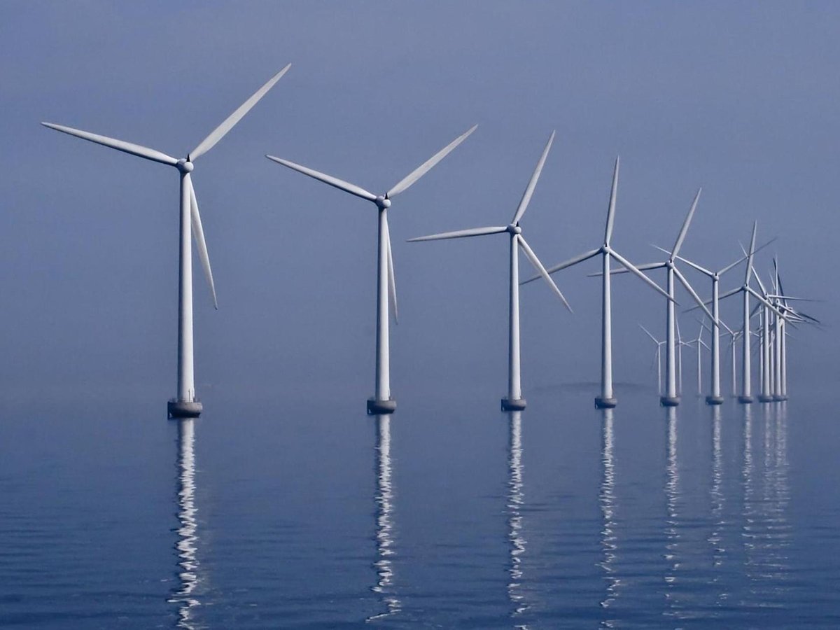 The Crown Estate to launch tender for controversial Morgan offshore ...