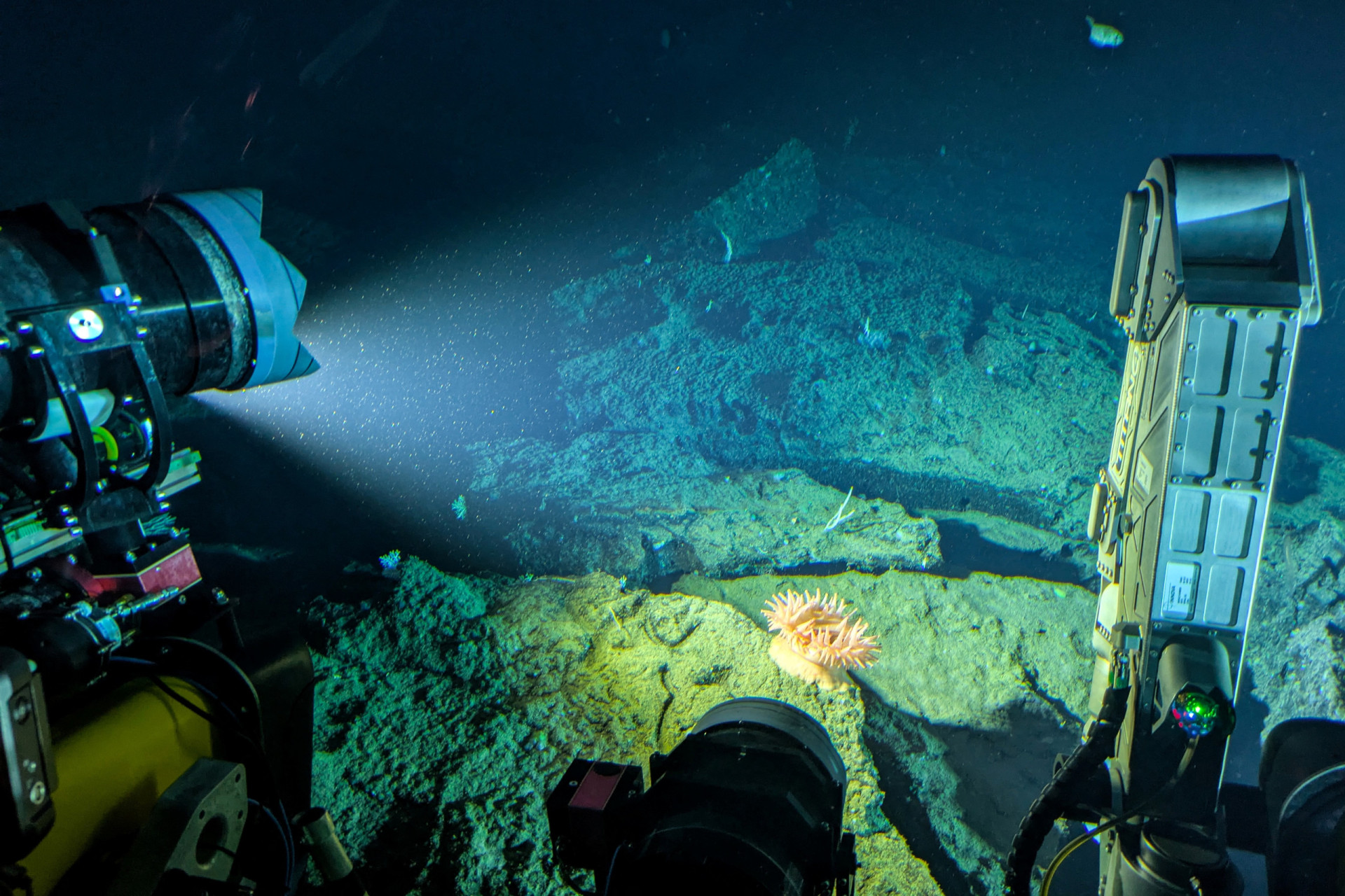 Blue planet: A photo tour of the ocean depths