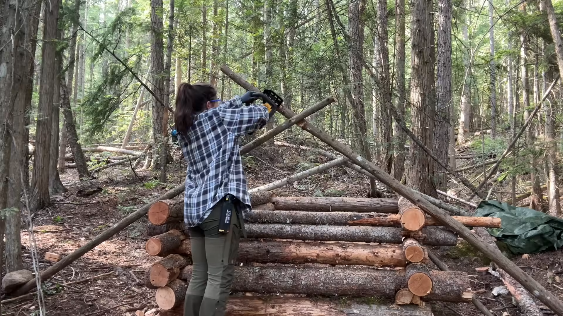 I built a cabin from logs and hope - then the snow started falling ...