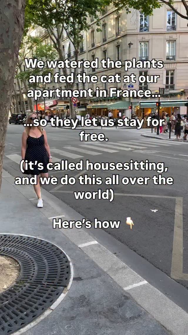 Our next place has a dog house sitting travel explained