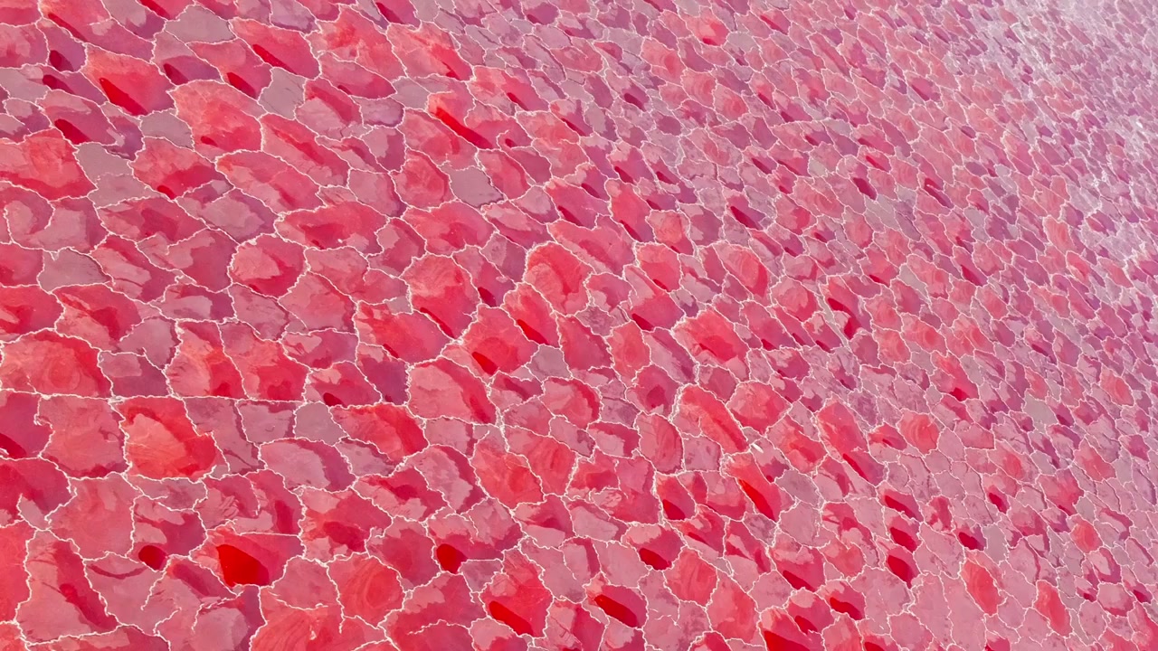 Lake Natron, Tanzania: Fly over the caustic crimson waters of the ...