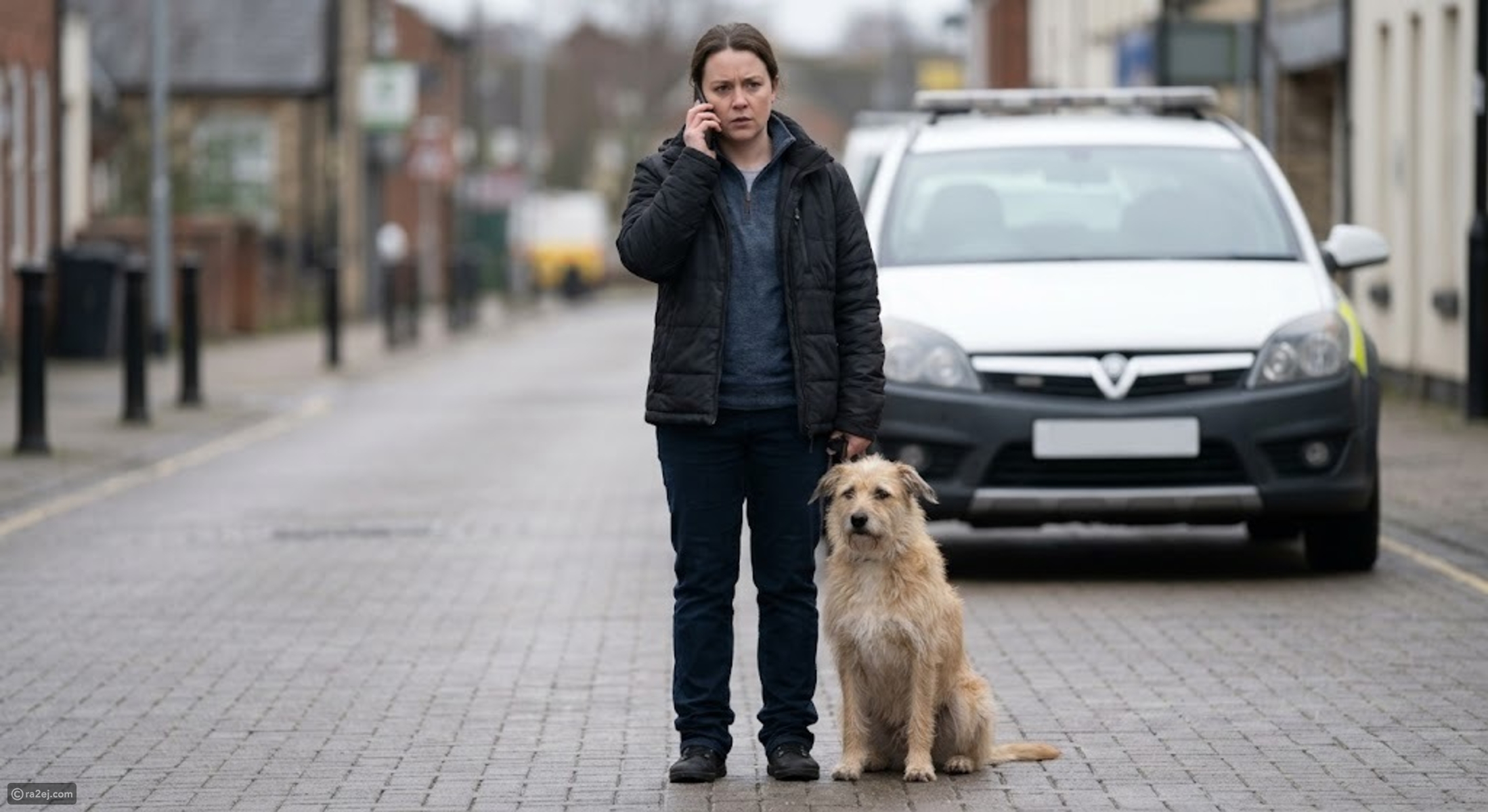 Found a stray cat or dog on your property? Your UK legal rights explained