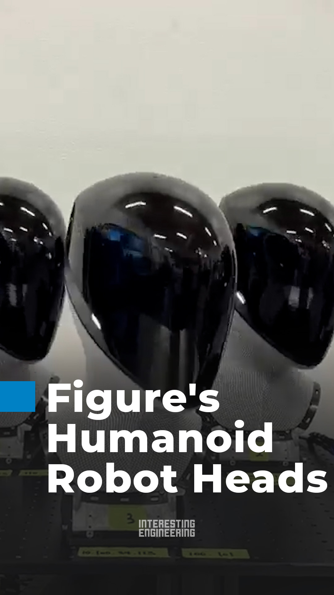 Figure's humanoid robot heads are being tested in rows