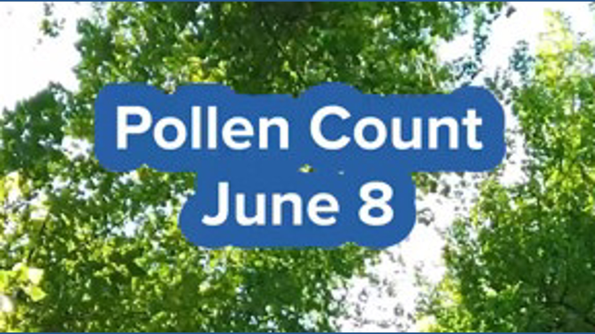Pollen count for Monday shows moderate levels of pigweek
