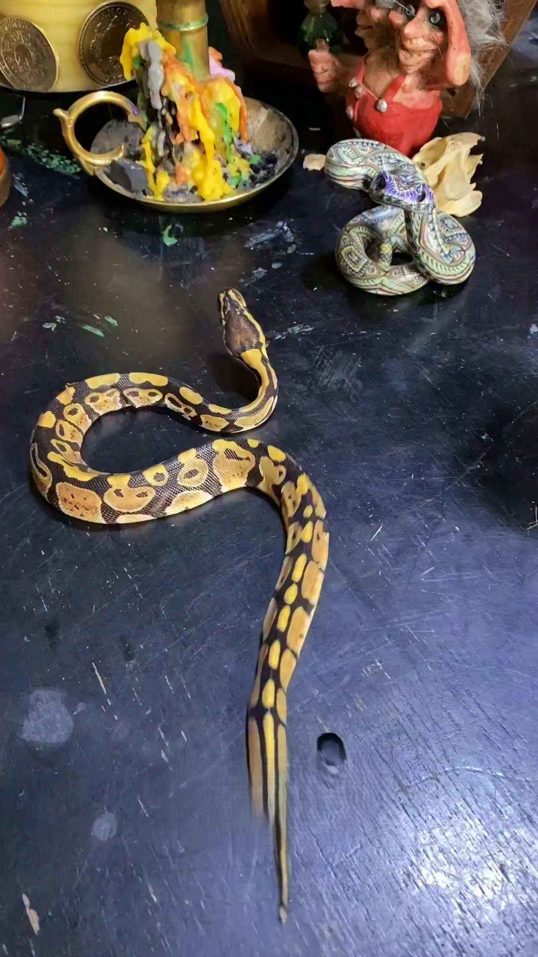Something is off with this snake!