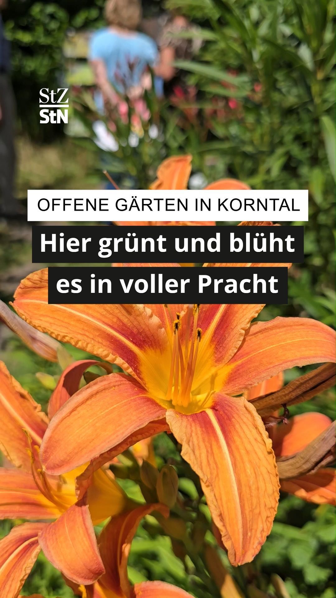 Offene Gärten in Korntal - Hier grünt und blüht es in voller Pracht