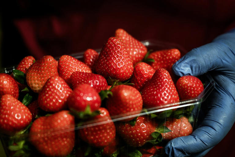 Why eating five portions of fruit and veg a day might not be enough