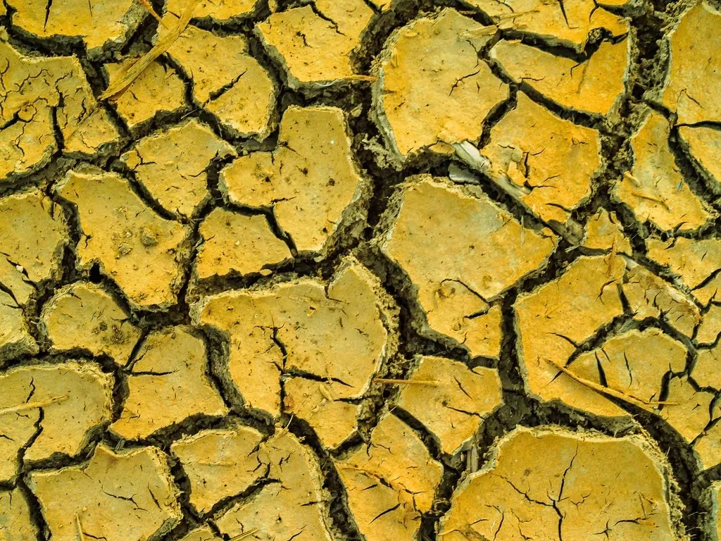 The US heat map that should worry you - these regions face the most ...