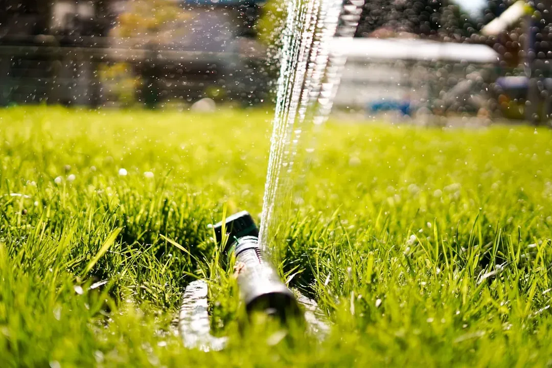 6 everyday habits that are quietly draining your local water supply