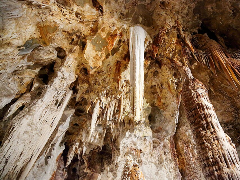 14,400 years ago, five people and a canid entered an Italian cave using ...