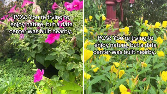 'Imagine hearing this 24/7': West Virginia mom simulates the relentless ...