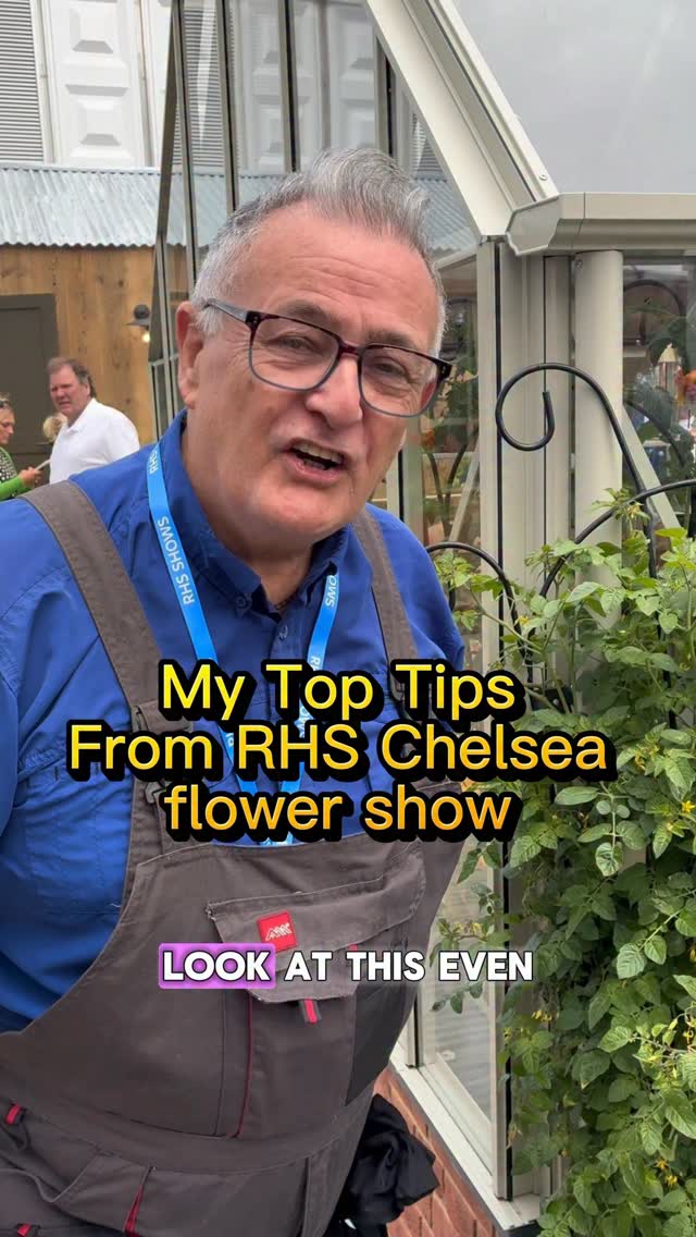 How home garden tips from Chelsea Flower Show inspire better growing