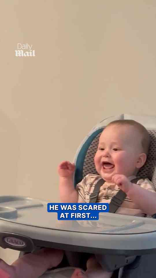 Baby bursts into laughter during peekaboo game