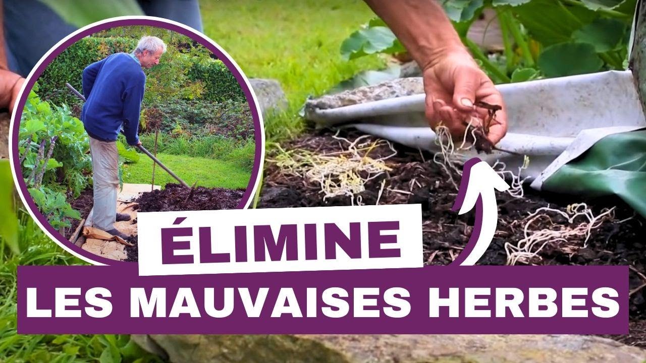 Débarrassez-vous des mauvaises herbes avec Charles Dowding : la méthode ...