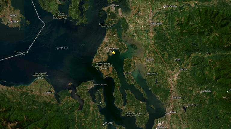 2.9 magnitude earthquake strikes near Oak Harbor, WA