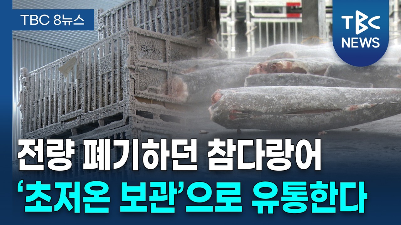 참치 폐기 이제 그만... '신속 유통 체계' 구축ㅣTBC뉴스