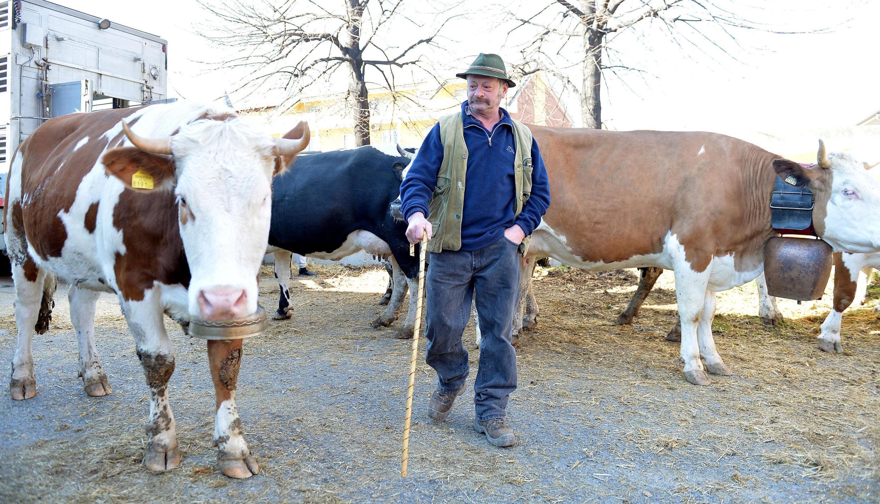 Alimentare, via all'iter per il riconoscimento Dop al burro piemontese