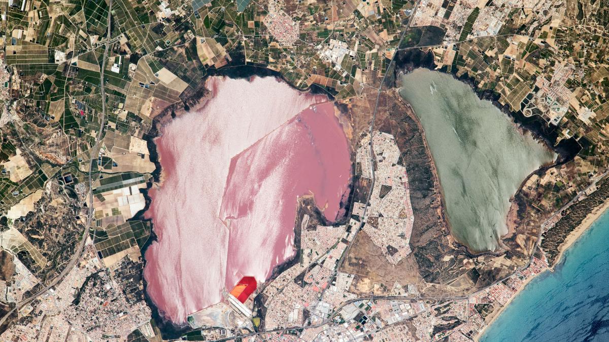 La NASA revela desde el espacio un llamativo fenómeno rosa en plena ...