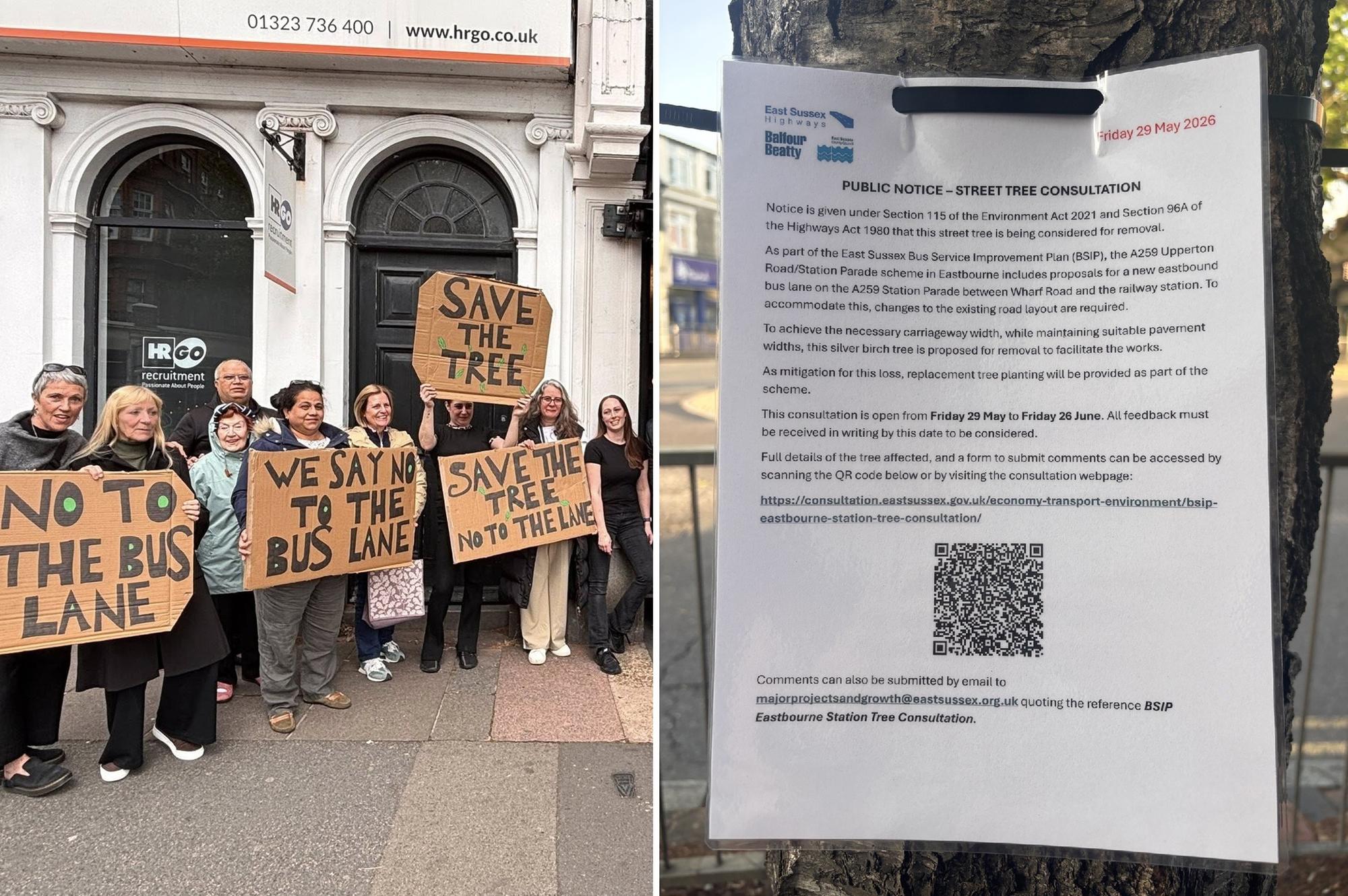 Eastbourne: Tree removal plan branded 'ridiculous' amid bus lane proposals