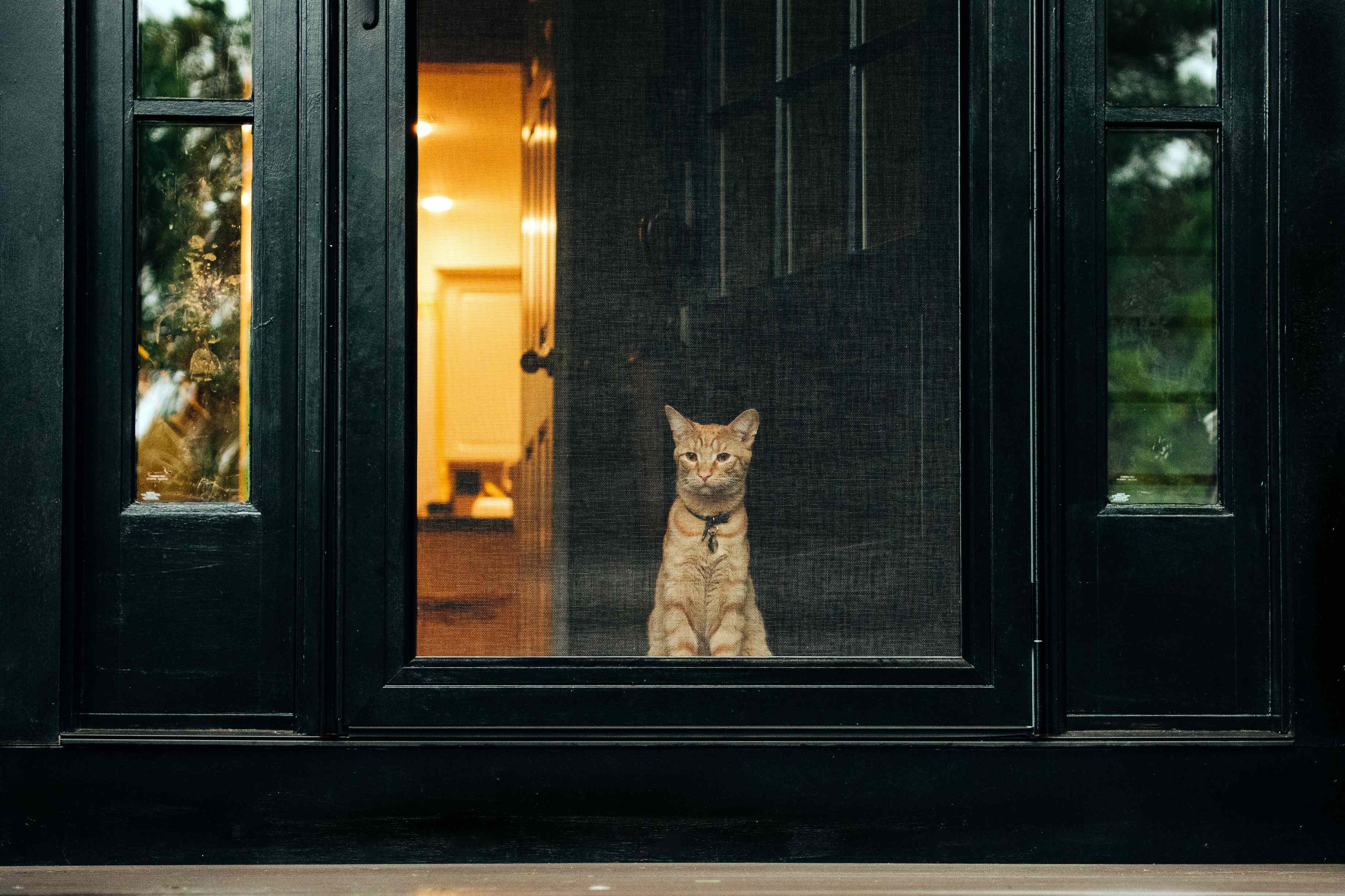How to make a dirty screen door look like new again