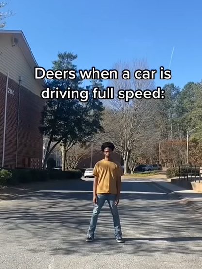 Deers when they see a car coming full speed 😒🦌💨 acting like nothing’s ...