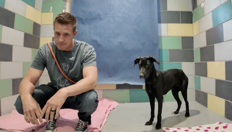 She was withering away in her kennel... then this happened