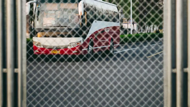 Driver slams on the brakes: What she sees trapped in a gate brings her ...