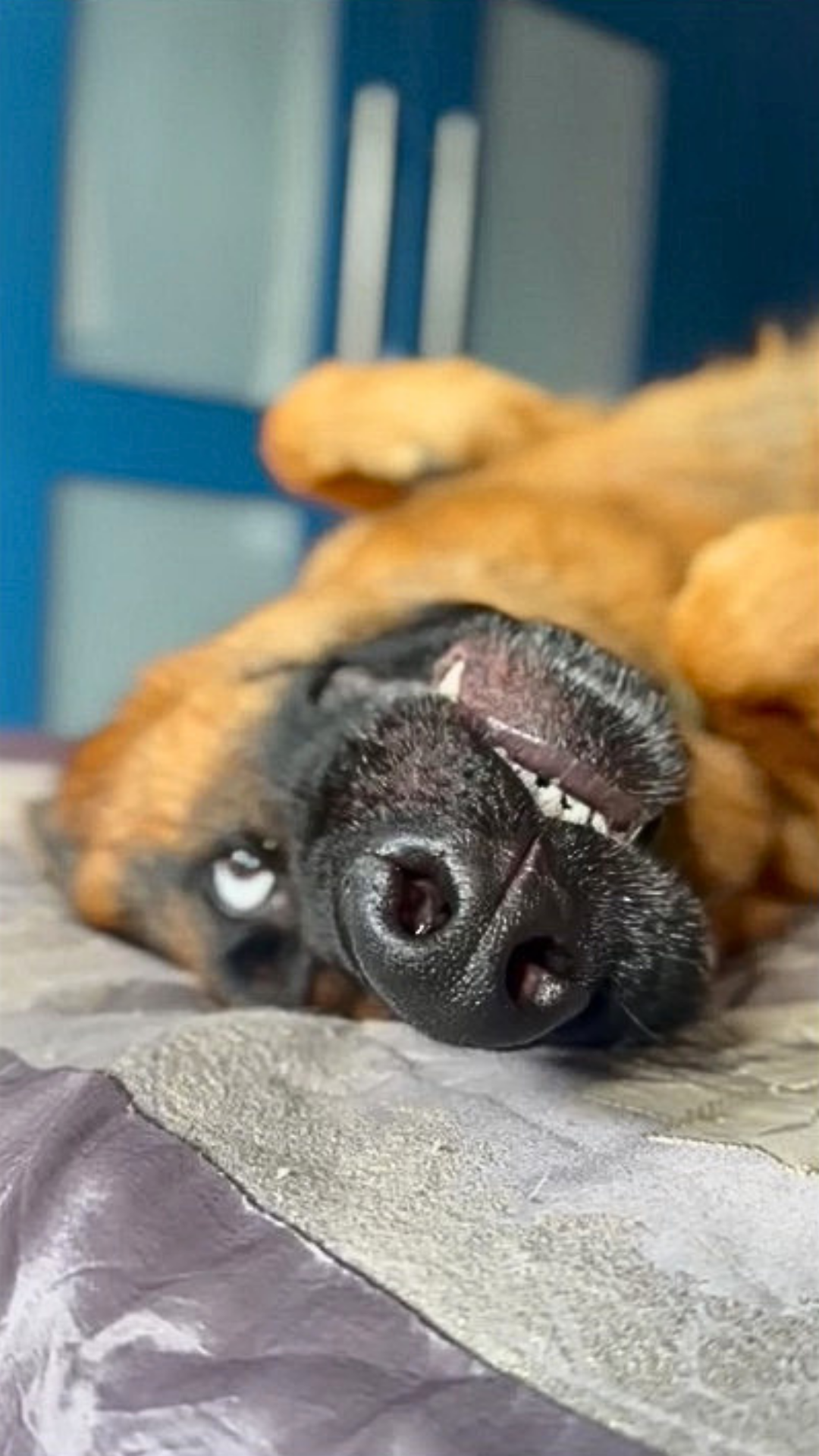 Oops! Woke up gorgeous again
