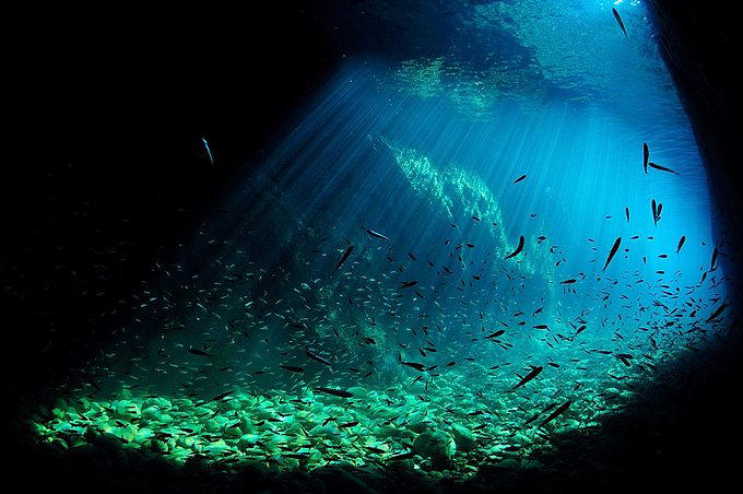 20 of the most incredible underwater photos ever taken