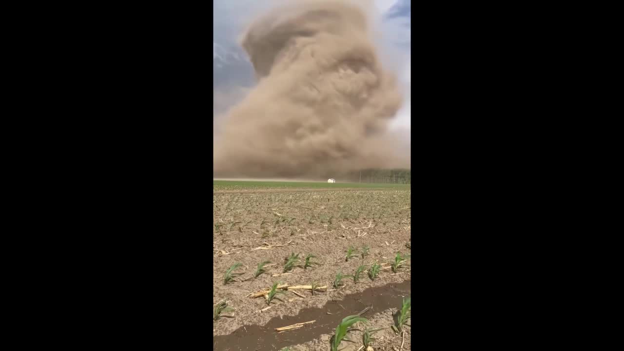 Locals in awe as huge dust devil rips through fields in southern China