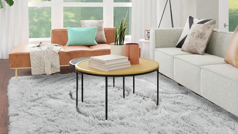 Get the Susuzi Shaggy Area Rug at Walmart for $25 — 49% Off in 4 Colors!
